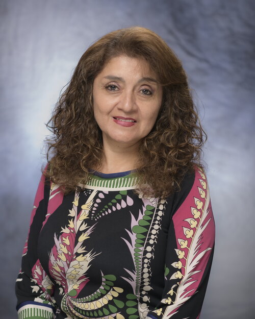 Marisol Hughes | Department of Latina/Latino Studies | Illinois